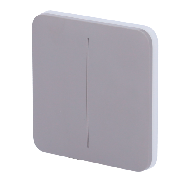 SoloButton 2 Gang Ajax Gris | Domotec Services SoloButton 2 Gang Ajax Gris | Domotec Services