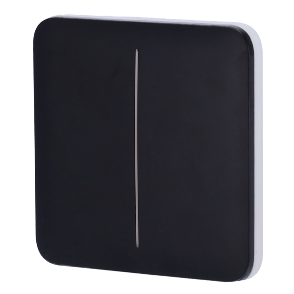 SoloButton 2 Gang Ajax Noir | Domotec Services SoloButton 2 Gang Ajax Noir | Domotec Services
